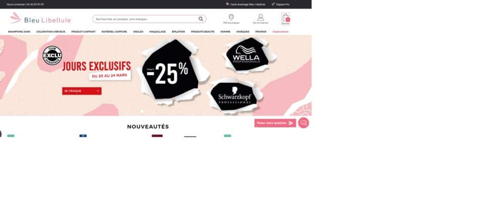 Avis Conso Bleu Libellule | Offres, promos, avantages... [Mon opinion !]